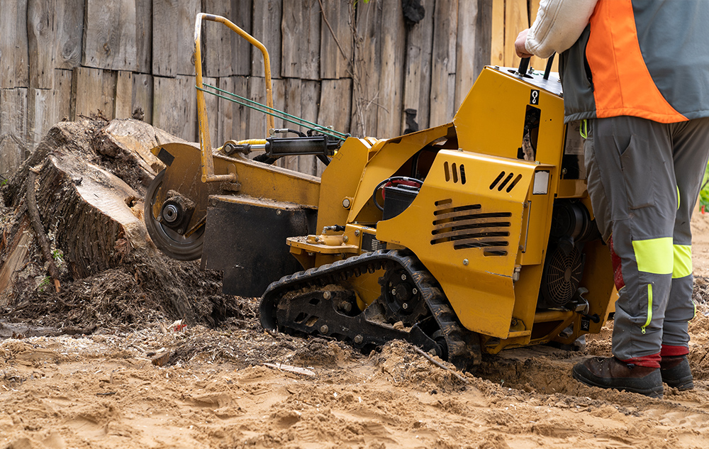 Stump Grinding - Axtraction - Greater Charlotte North Carolina Area